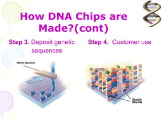 DNA computing | PPT