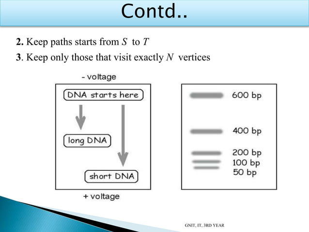 Dna computing | PPT