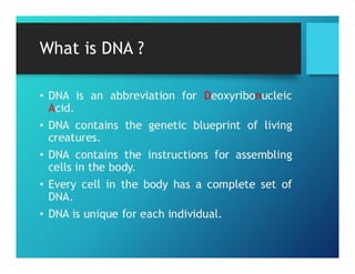 Dna computing pdf | PPT