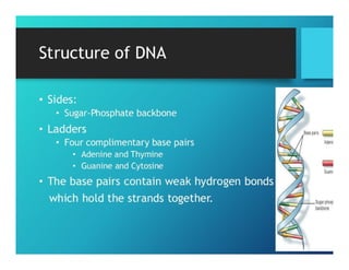 Dna computing pdf | PPT