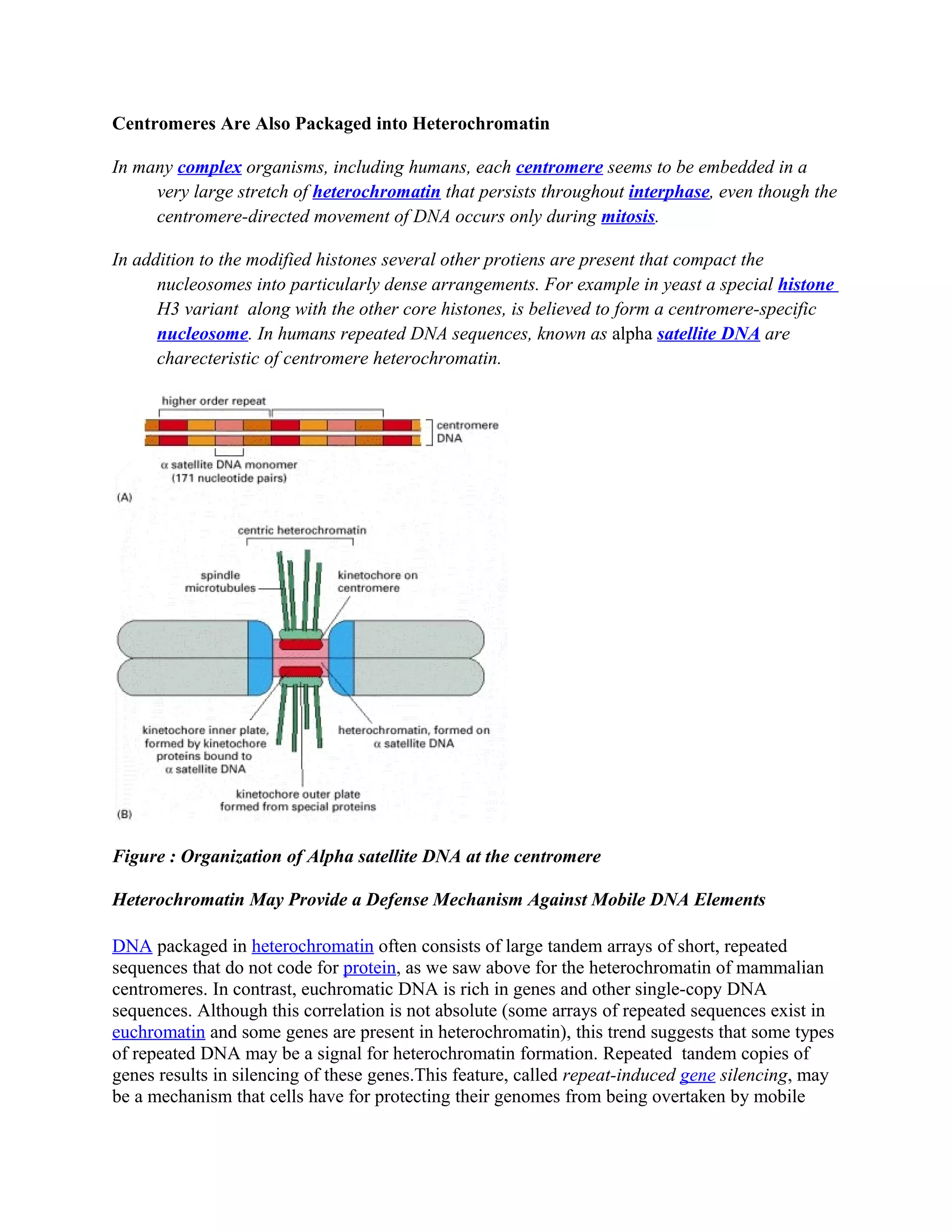 Dna Contentc Value Paradox Euchromatin Heterochromatin Banding