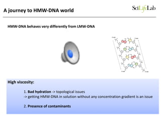 HMW-DNA for long-read single-molecule sequencing | PPT