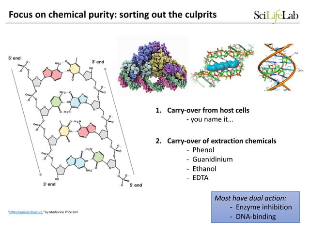 HMW-DNA for long-read single-molecule sequencing | PPT