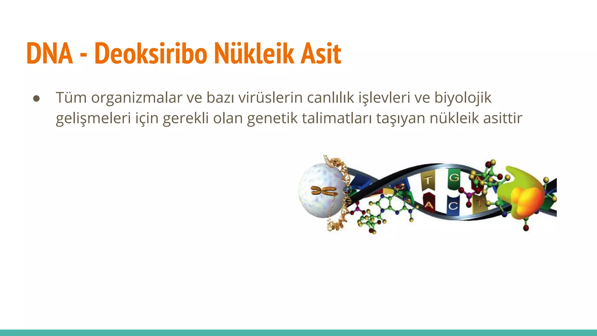 DNA Kriptografi | PPT