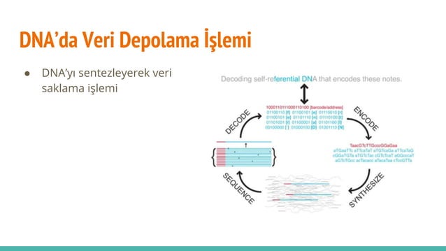 DNA Kriptografi | PDF