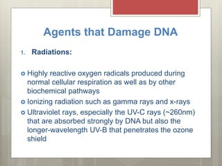 DNA damage and repair | PPTX