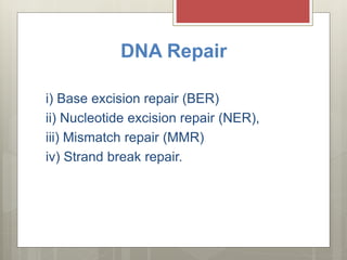 DNA damage and repair | PPTX