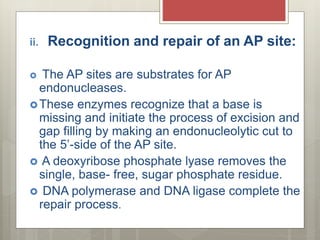 DNA damage and repair | PPTX