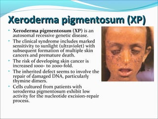 Dna damage. lgis | PPT