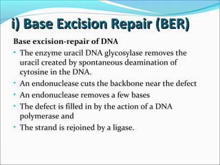Dna damage. lgis | PPT