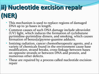 Dna damage. lgis | PPT