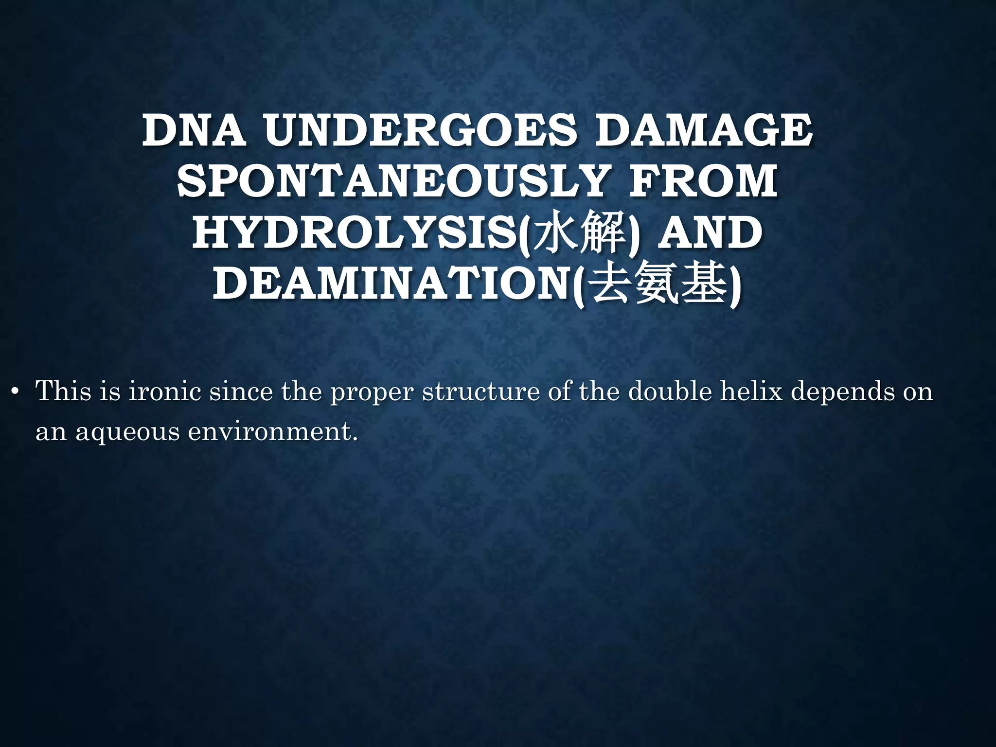 DNA damage.ppt