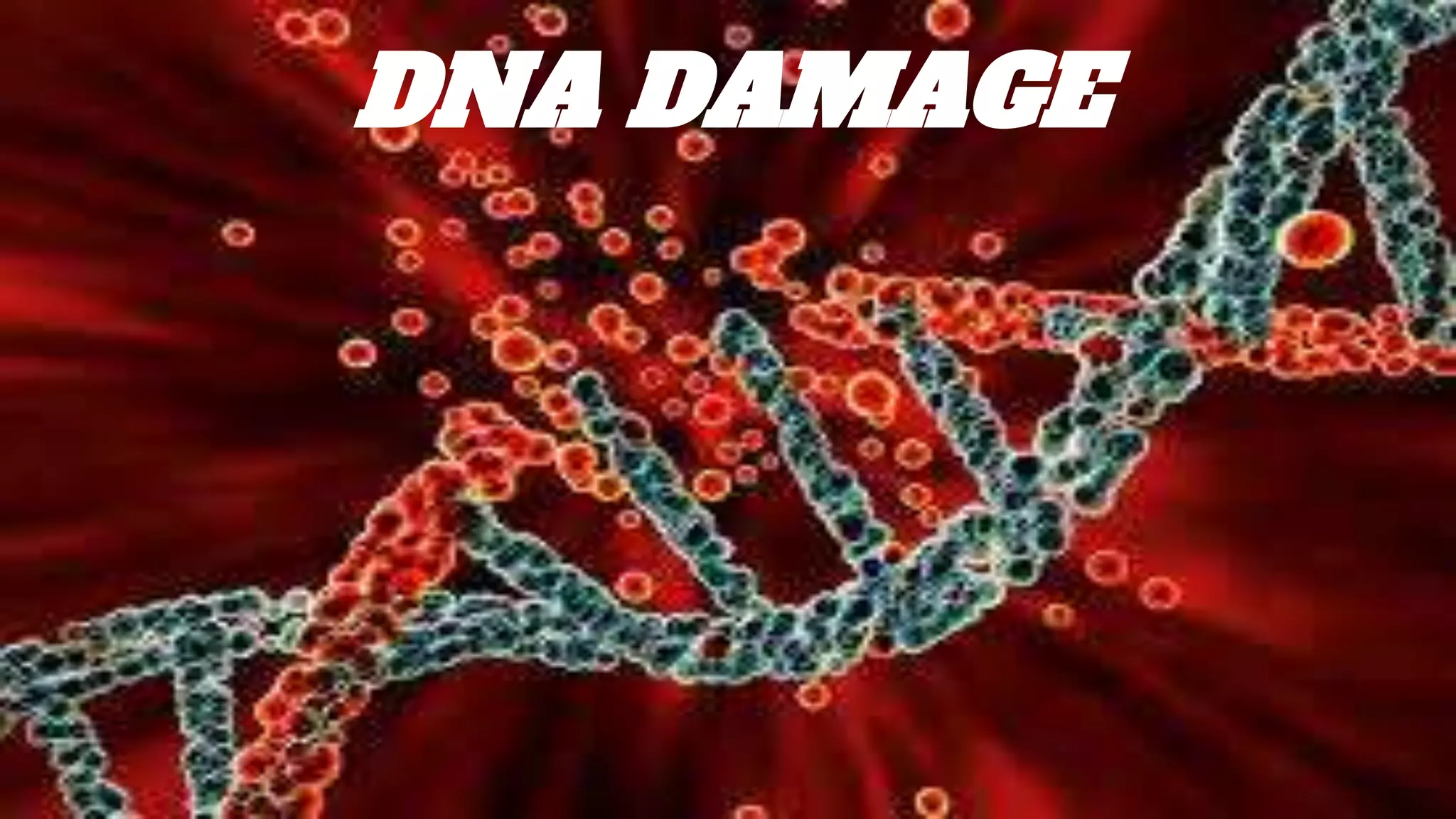 DNA Damage .pptx