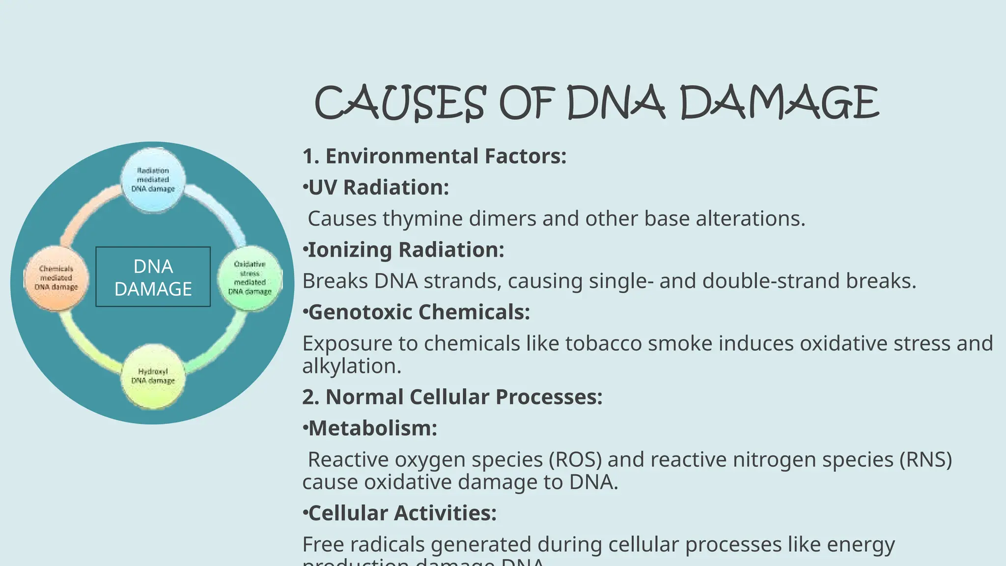 Introduction to DNA damage and repair.pptx