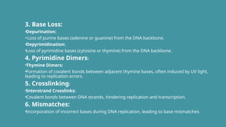 Introduction to DNA damage and repair.pptx