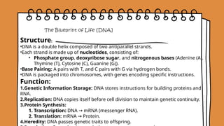 Introduction to DNA damage and repair.pptx