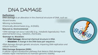 Introduction to DNA damage and repair.pptx