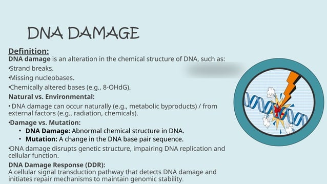 Introduction to DNA damage and repair.pptx