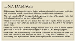 DNA Damage and DNA Repair- Dr. Sonia Angeline | PDF