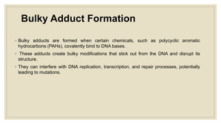 DNA Damage and DNA Repair- Dr. Sonia Angeline | PDF