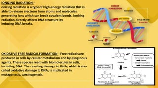 DNA DAMAGE AND MUTATION.pptx
