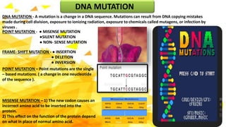 DNA DAMAGE AND MUTATION.pptx