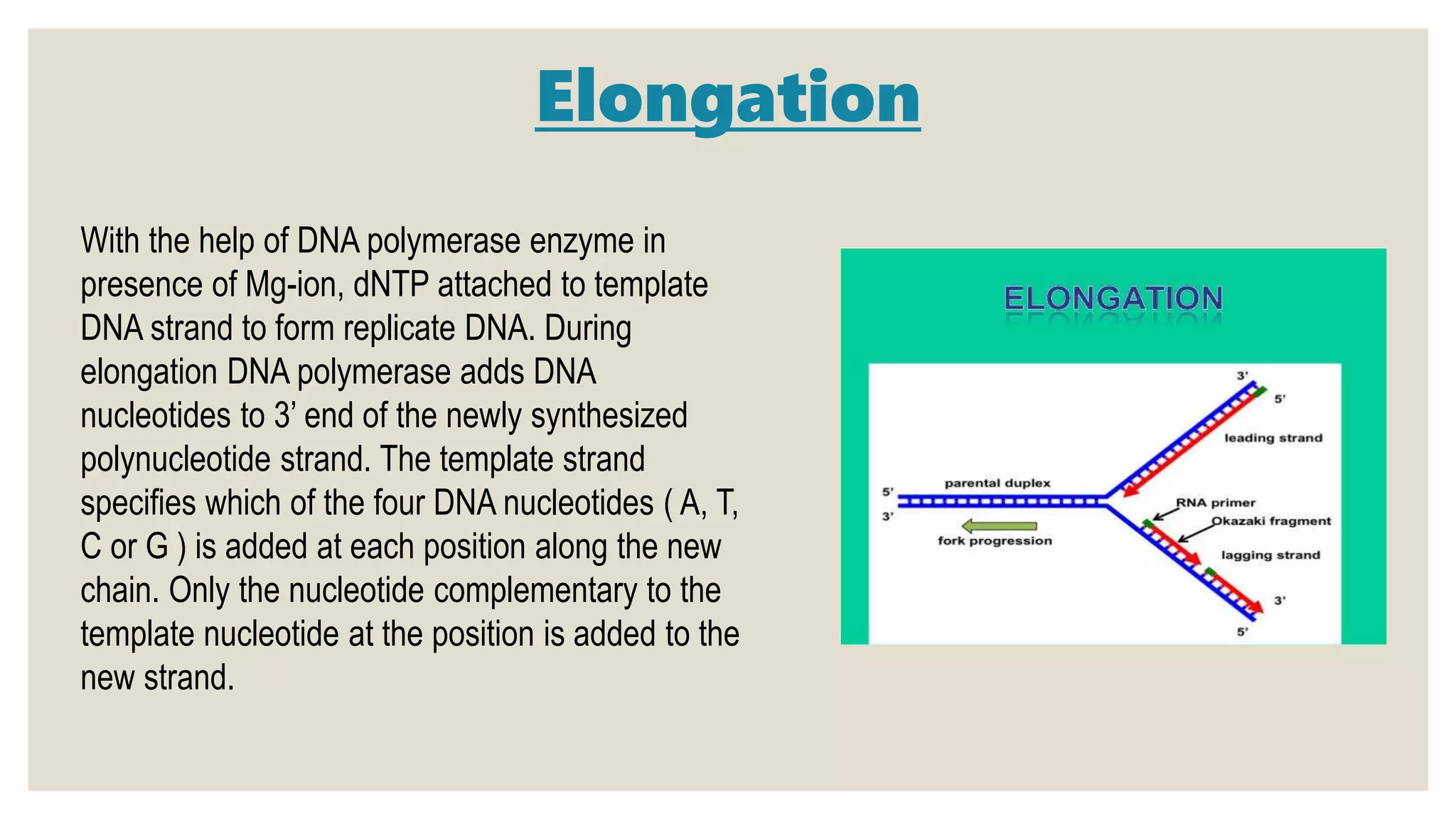 DNA DAMAGE AND MUTATION .pptx