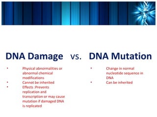 Dna damage and repair | PPT