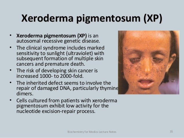 DNA damages and repair