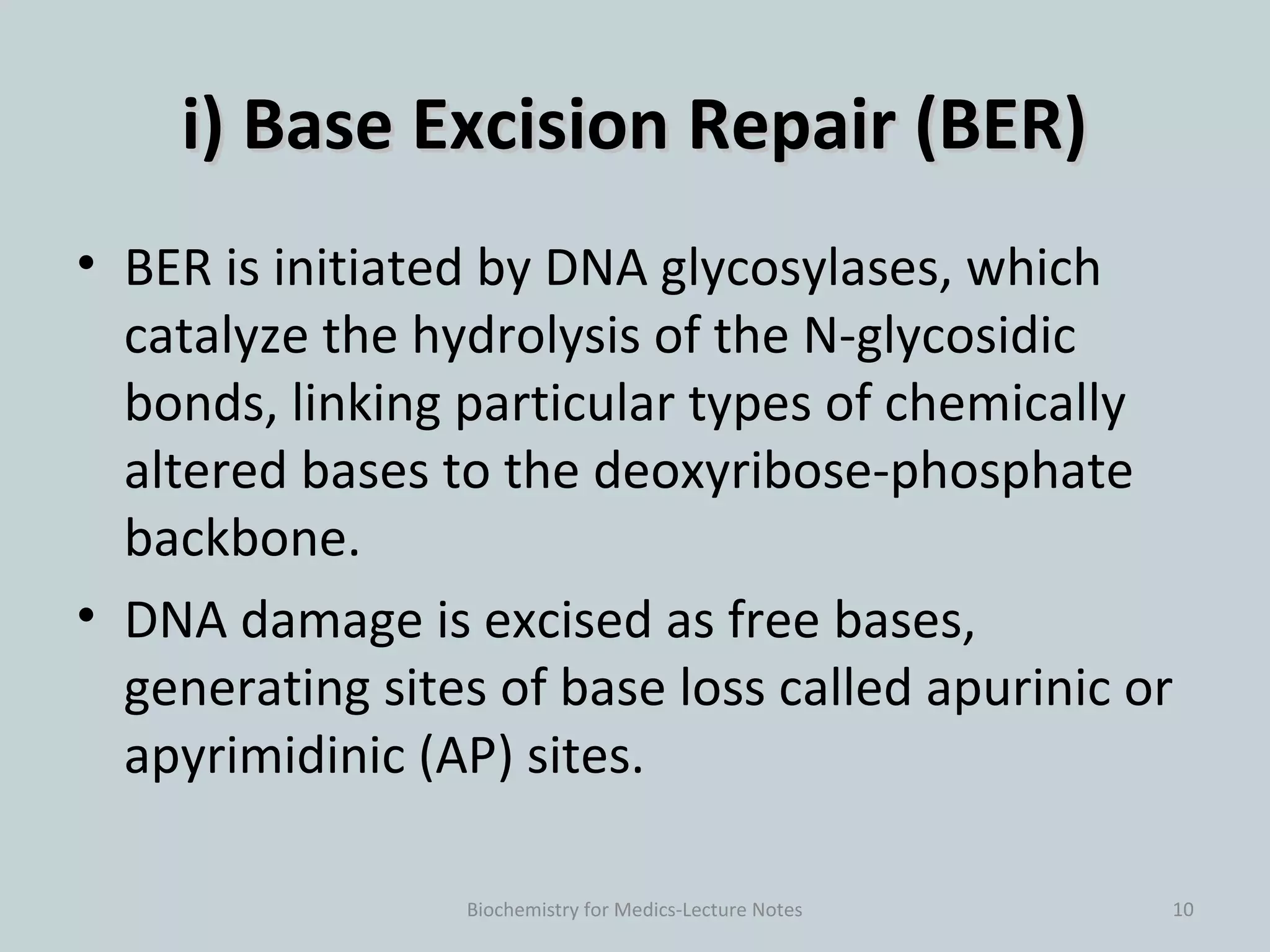 Dna damage and repair | PPT