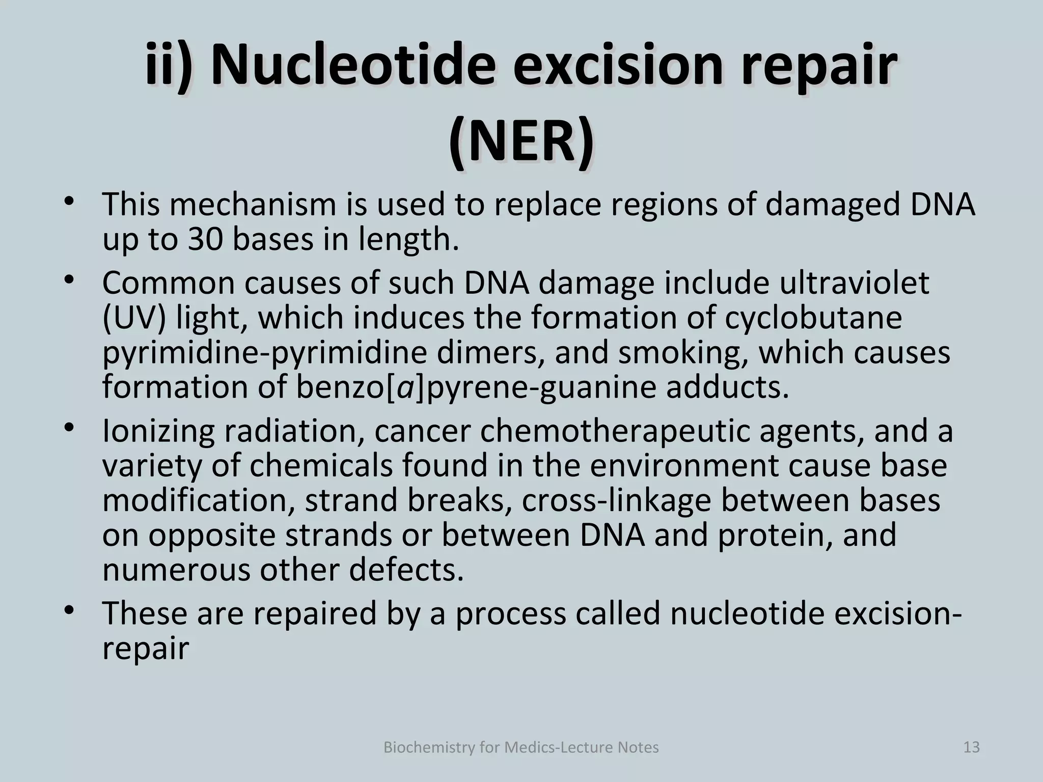 Dna damage and repair | PPT