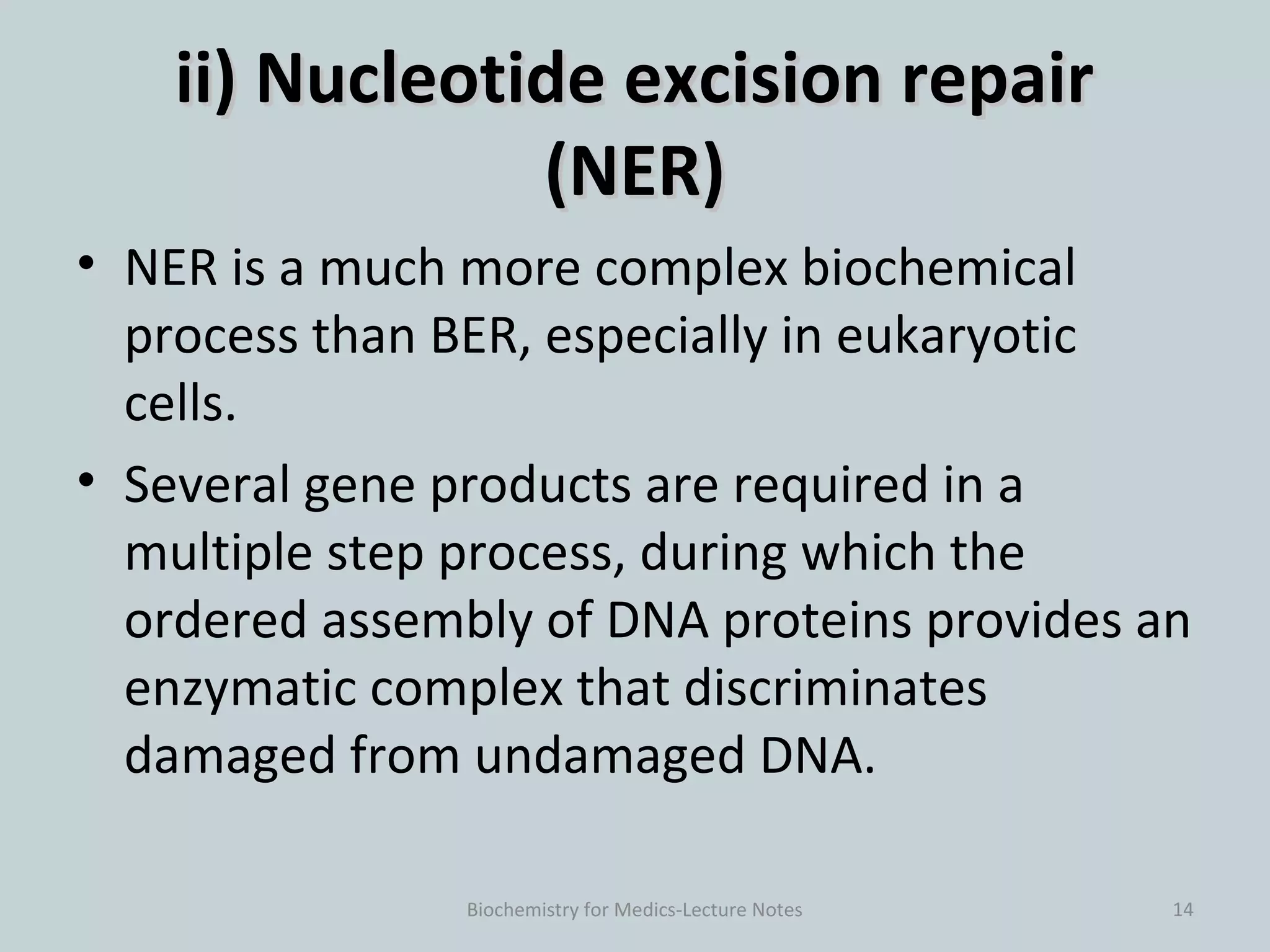 Dna damage and repair | PPT