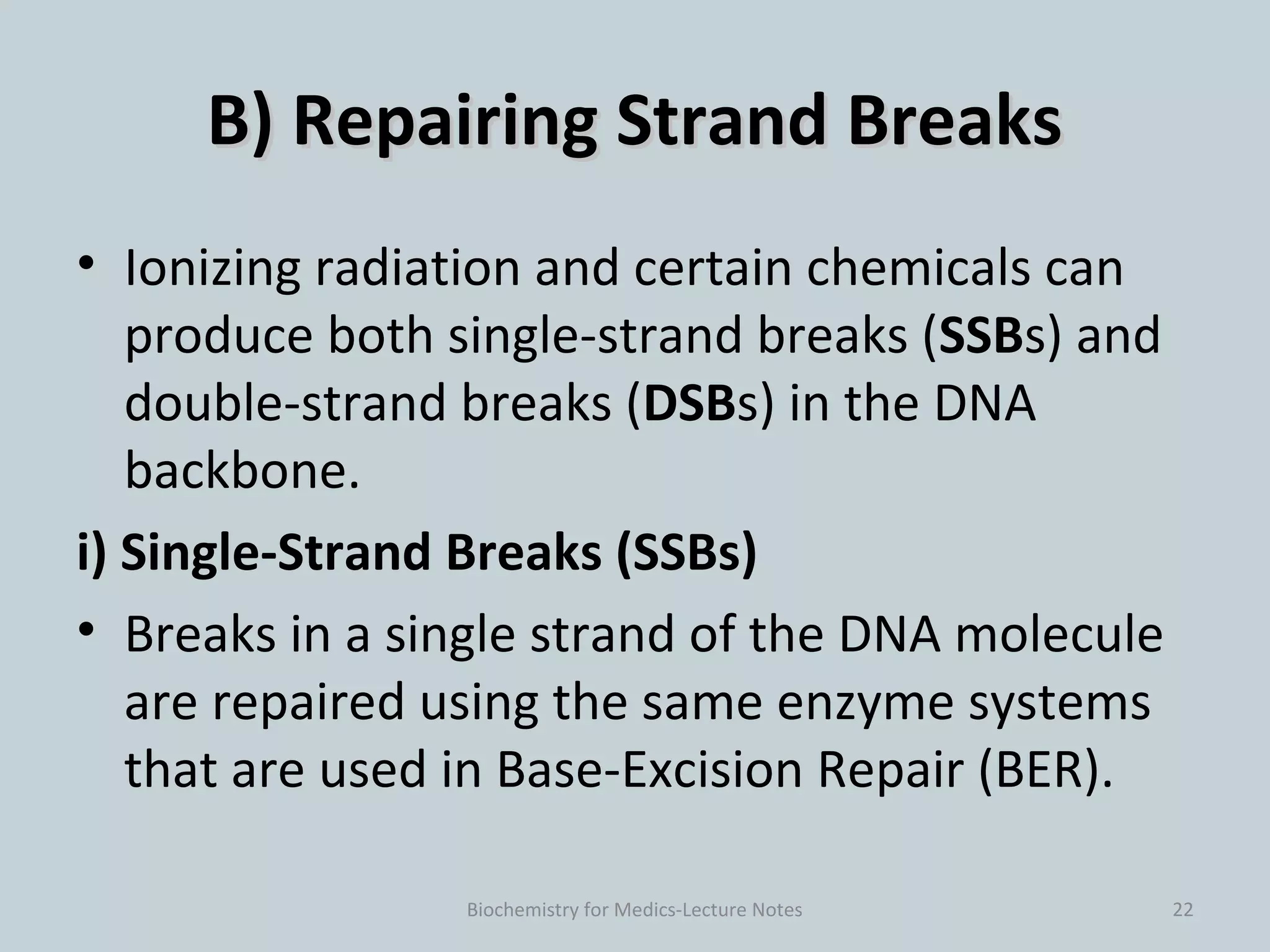 Dna damage and repair | PPT