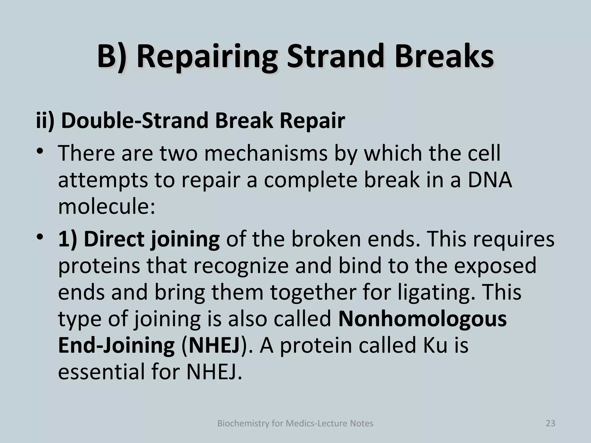 Dna damage and repair | PPT