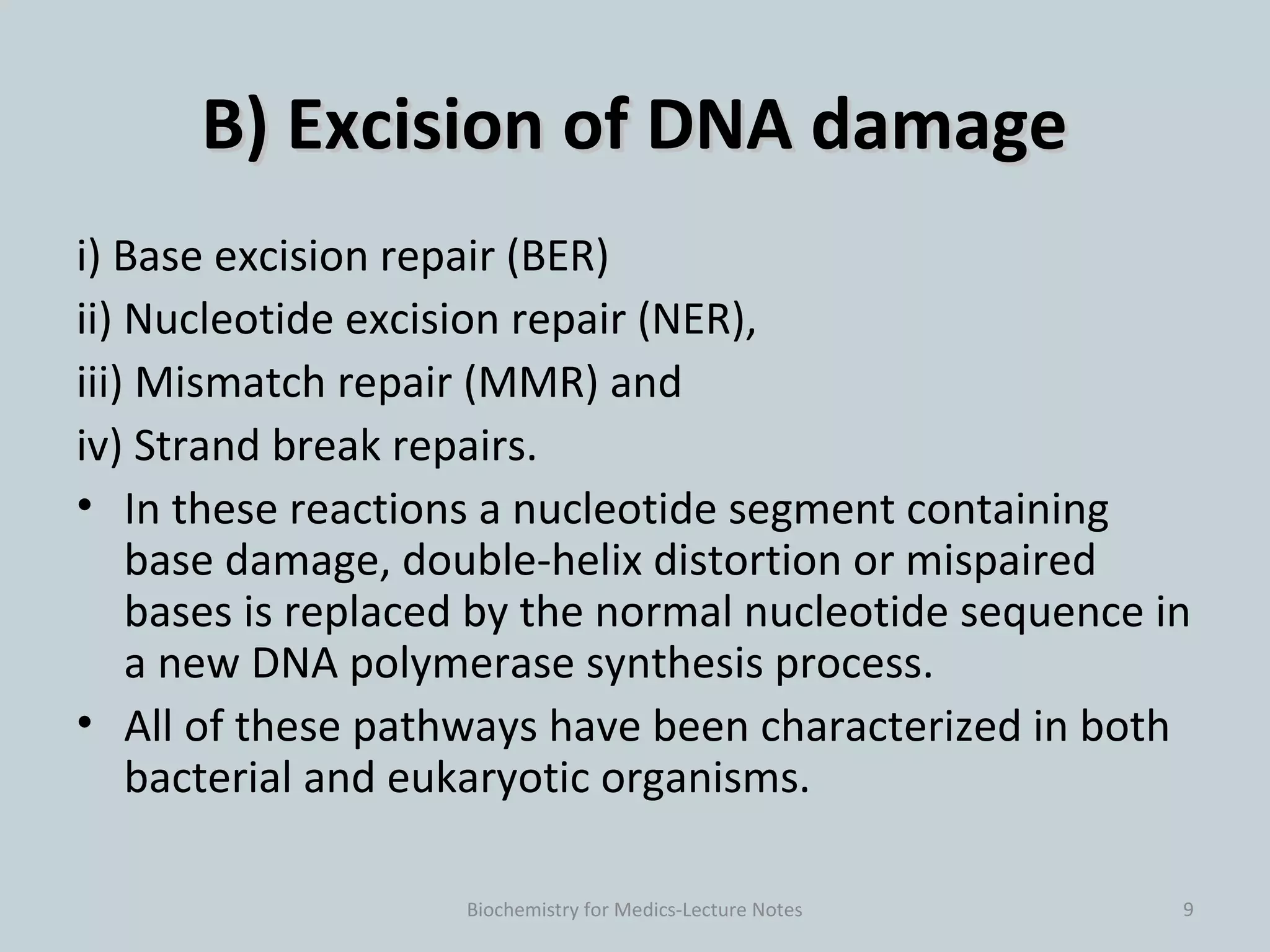 Dna damage and repair | PPT