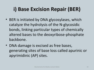 Dna damage and repair | PPT