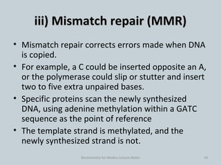Dna damage and repair | PPT