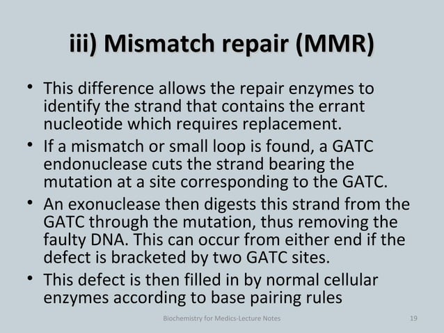 Dna damage and repair | PPT