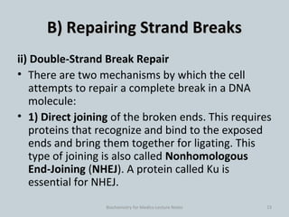 Dna damage and repair | PPT