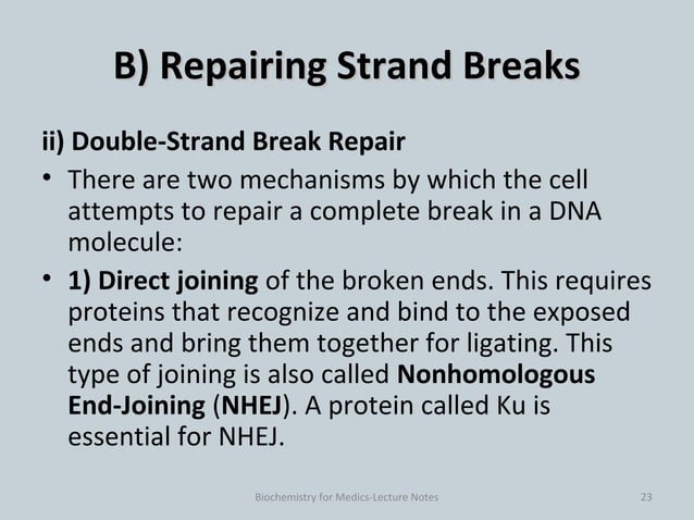 Dna damage and repair | PPT