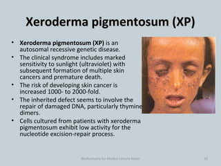 Dna damage and repair | PPT