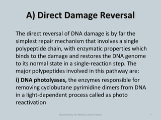 Dna damage and repair | PPT