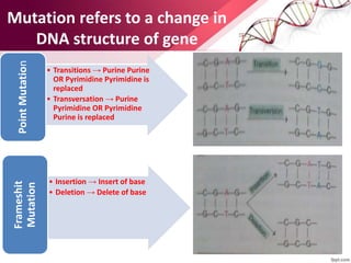 Dna damage and repair | PPTX