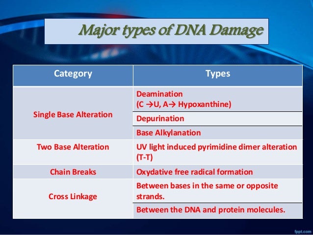 Dna damage and repair