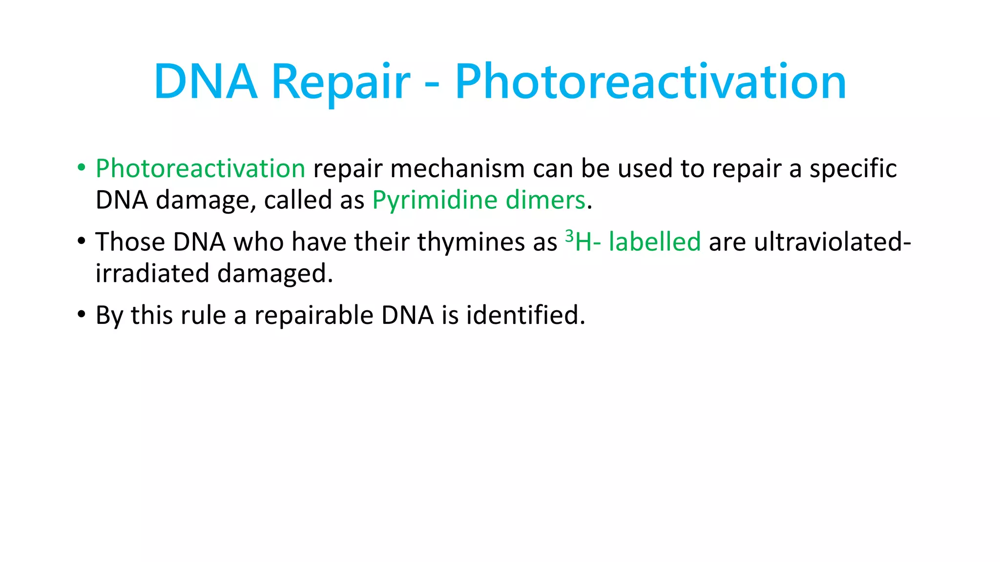 Dna damage and repair (Photoreactivation) | PPTX