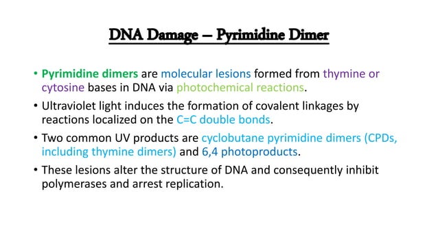 Dna damage and repair (Photoreactivation) | PPTX