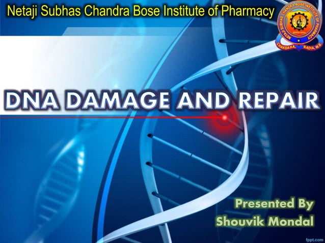 DNA damage and repair | PPT