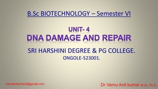 DNA damage and repair | PPT