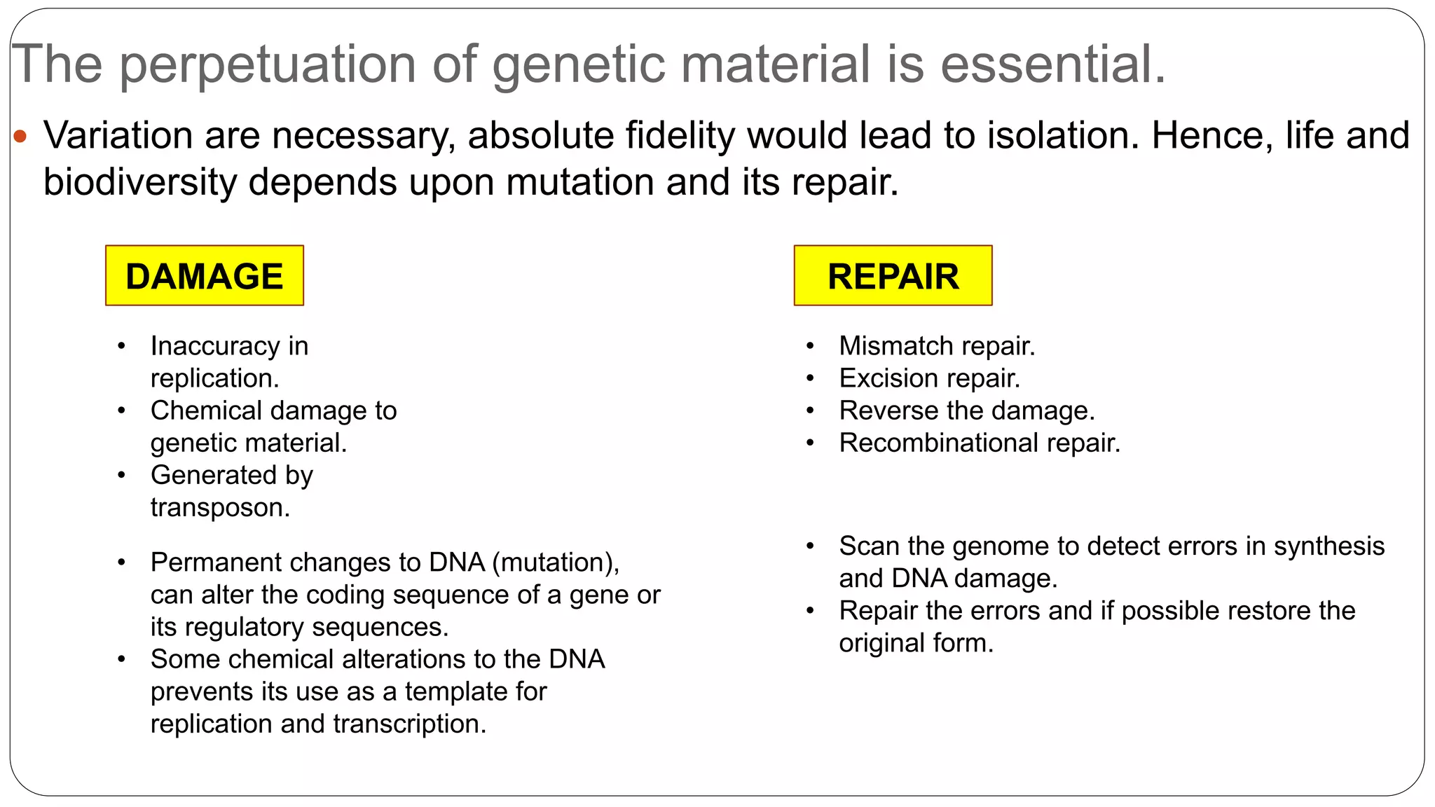 DNA DAMAGE AND REPAIR.pptx