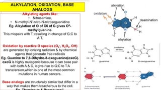 DNA DAMAGE AND REPAIR.pptx